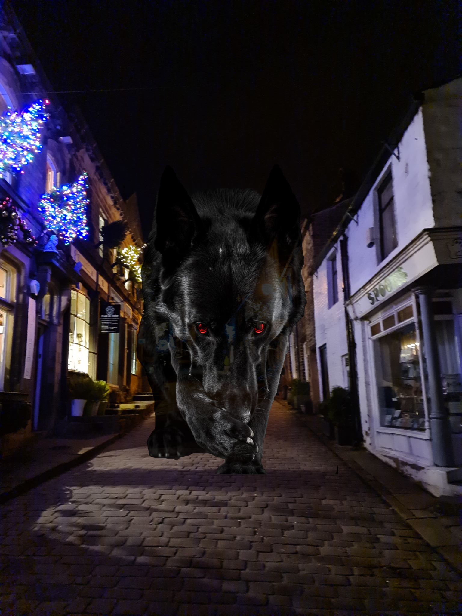 The Gytrash: Ghostly Black Dog of The Brontës - Haunted Haworth